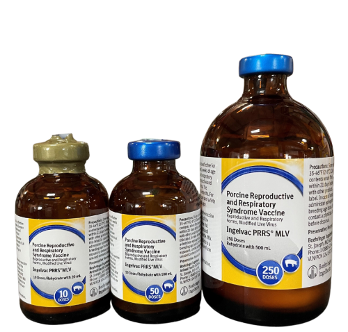 Ingelvac PRRS MLV Swine Vaccine